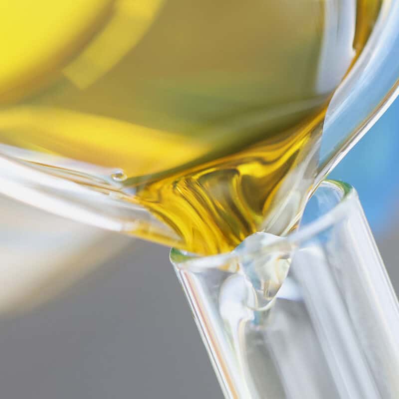 megaOmega Organic Vegan Algae Oil | Free Spirit Group